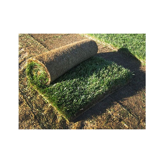 Pasto en Rollo - Zona Verde diseño natural