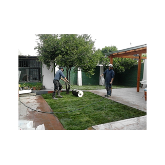 Pasto en Rollo - Zona Verde diseño natural